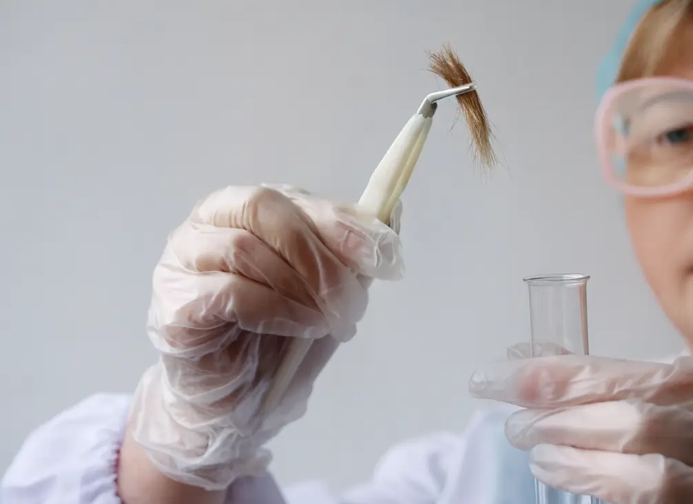 Do Short Bursts of Use Raise Hair Drug or Alcohol Test Levels?